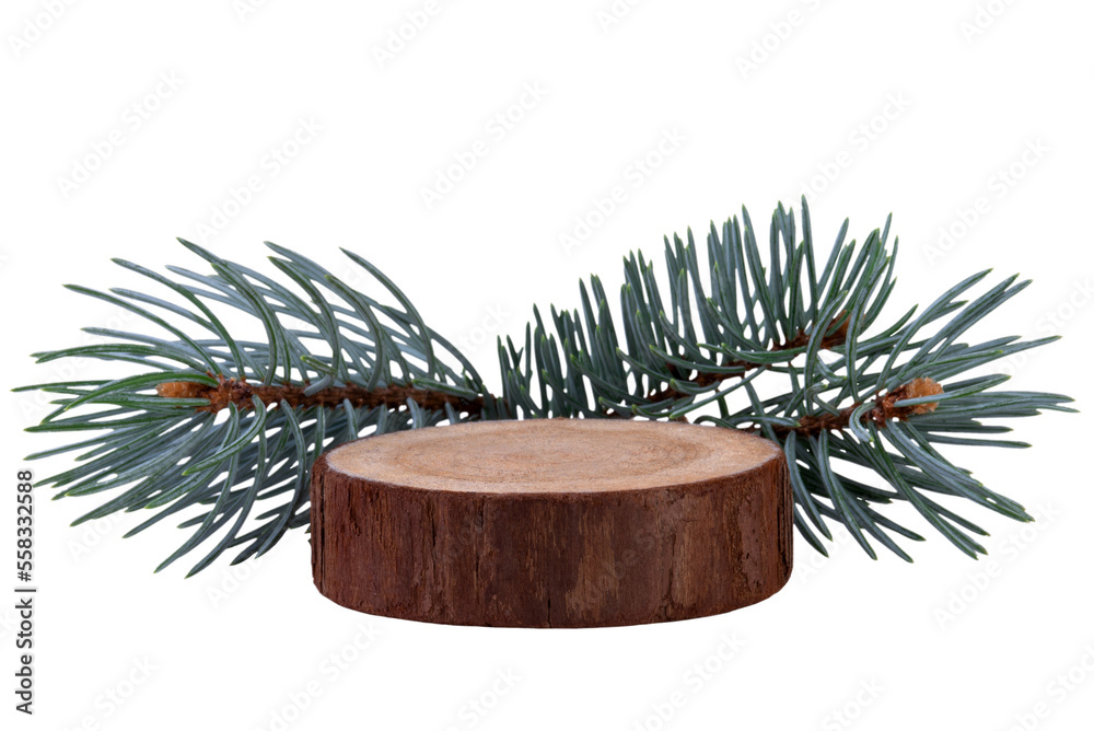A wooden section of a tree with pine tree branch, a podium for product ...