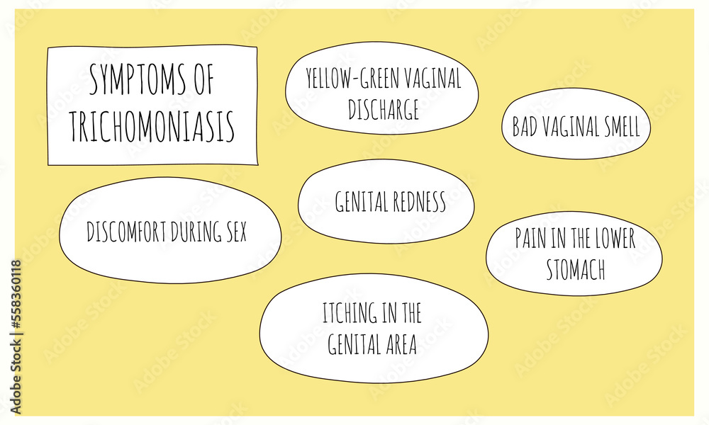 symptoms of Trichomoniasis. Vector illustration for medical journal or ...