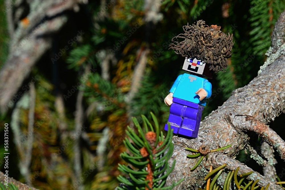 LEGO Minecraft figure of Steve with acorn cupule from oak tree as ...