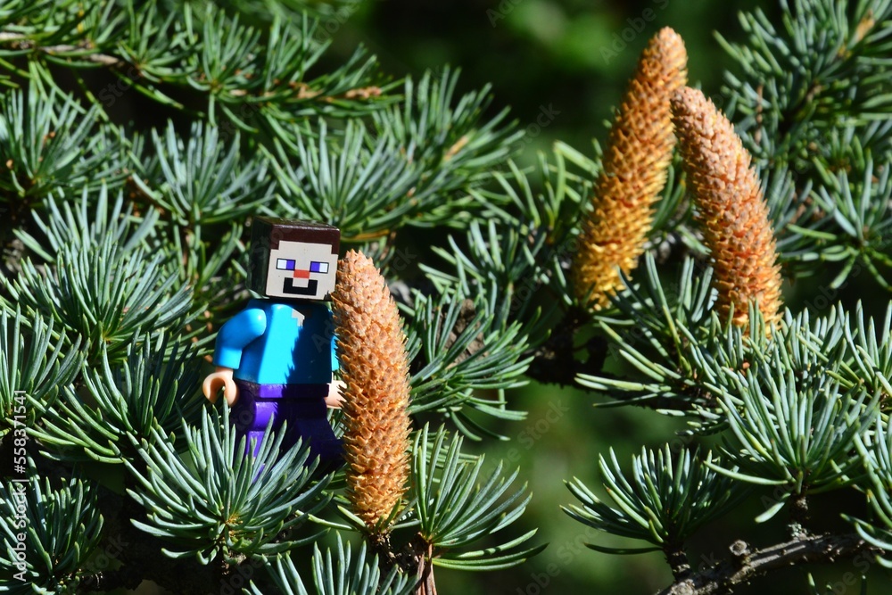 LEGO Minecraft figure of Steve standing next to erected mature cone of ...