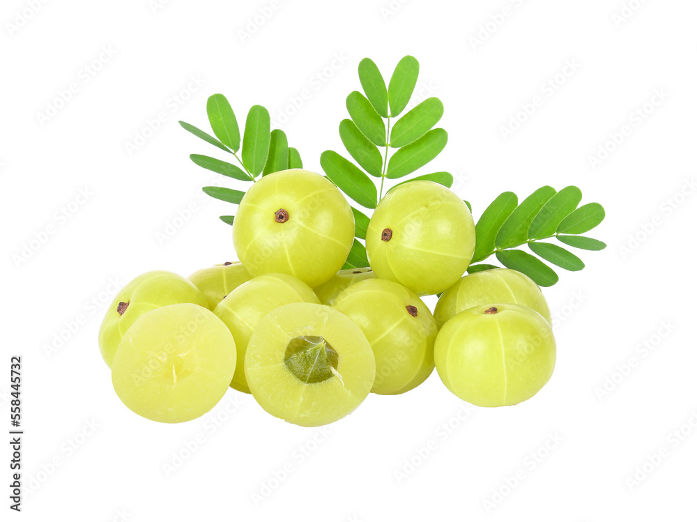 Indian gooseberry isolated on transparent png Stock Photo | Adobe Stock