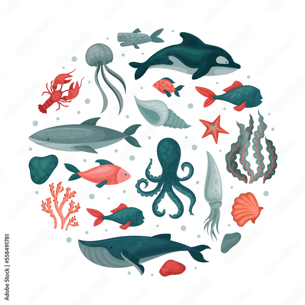 Ocean Sea Creatures Posters