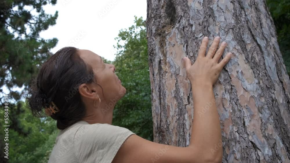 Female give a hug behind tree. A nice female give a hug to tall huge ...
