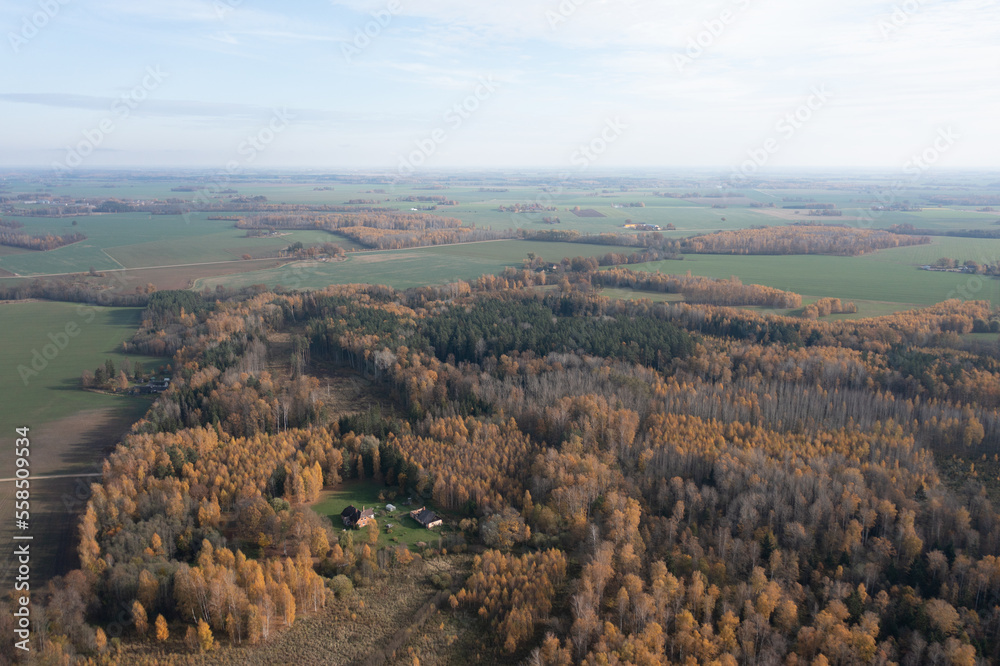 an aerial view of a forest with lots of trees in the foreground and a ...
