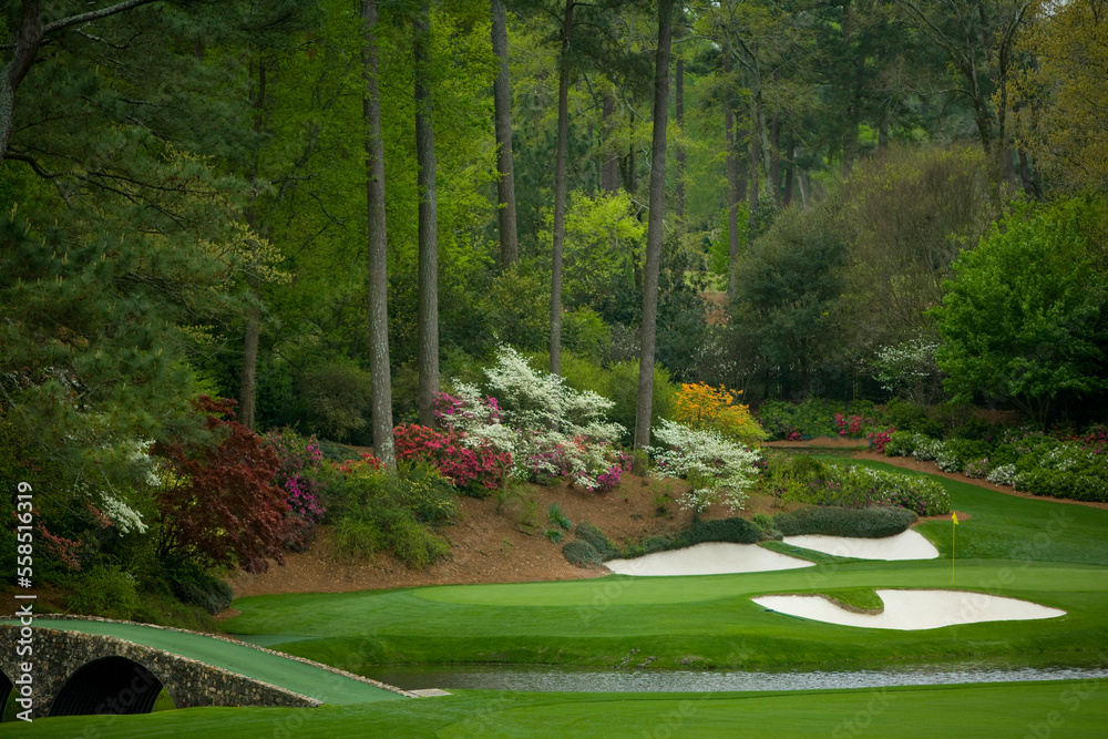 MASTERS Stock Photo | Adobe Stock