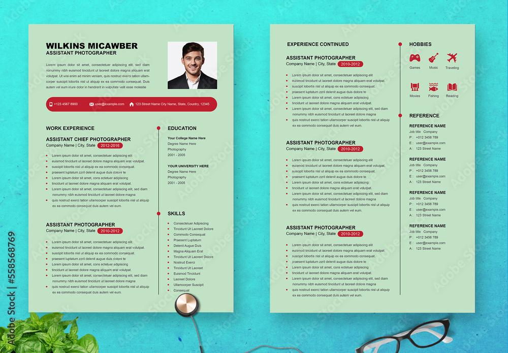 Clean and Professional Resume CV Templates Stock Template | Adobe Stock