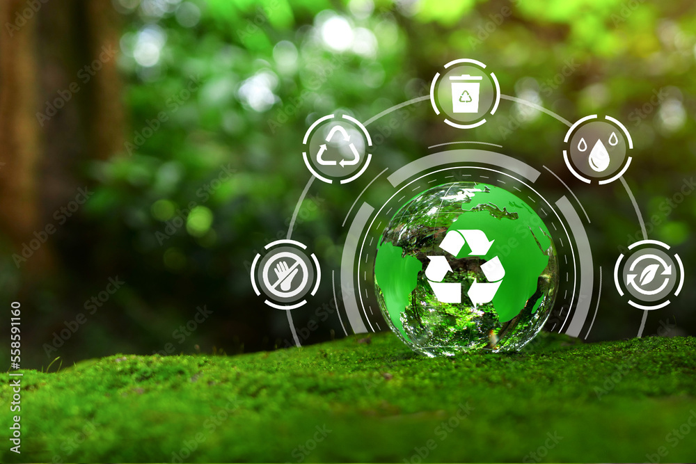 Zero waste,net zero concept. Carbon neutral. Climate neutral long term ...