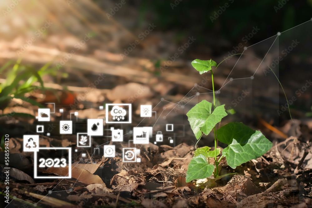 Growth graph in the new year 2023. Green business, compared to the year ...