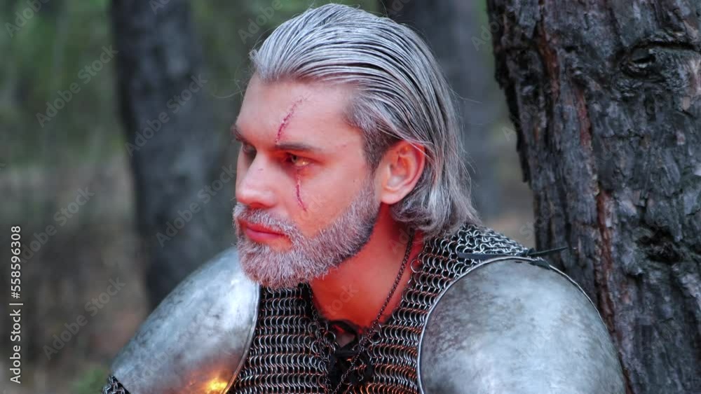 Portrait of a medieval warrior with gray hair and a scar on his face in ...