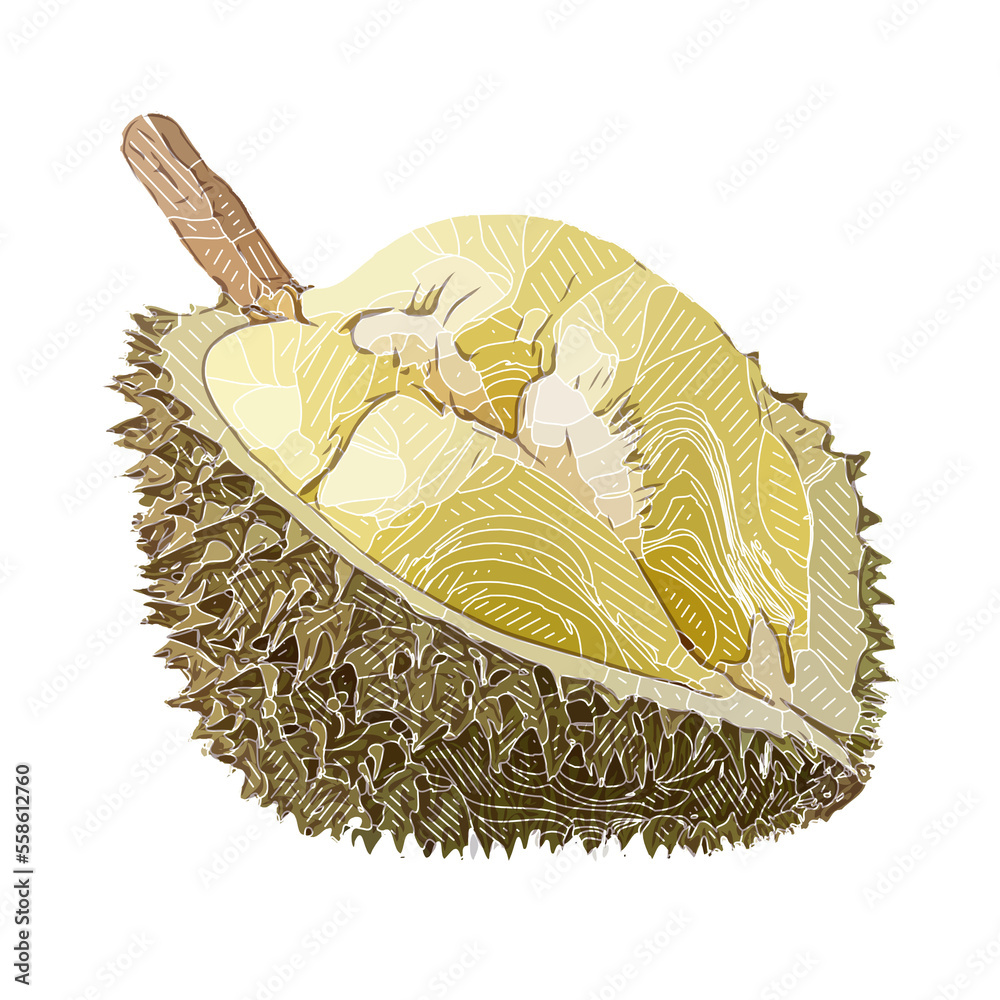 fresh fruit image design with color dividing line and transparent ...