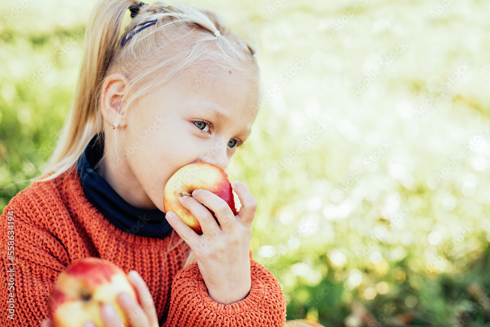 Child picking apples on farm in autumn. Little girl playing in tree ...