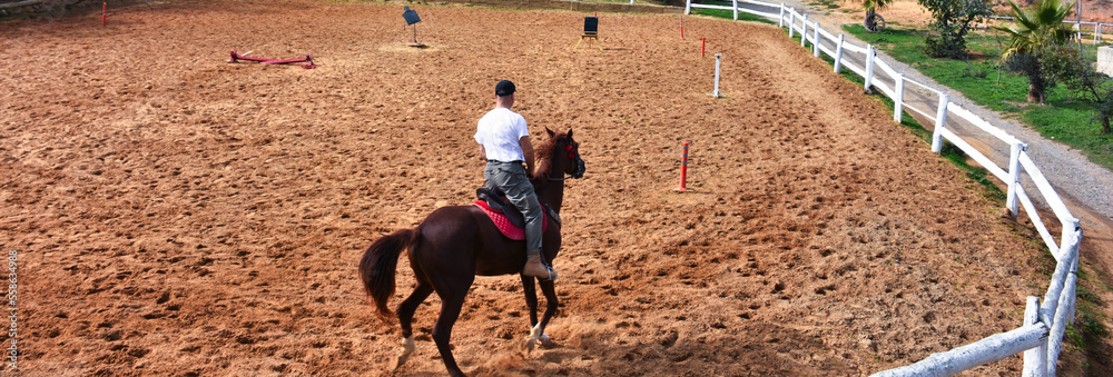 A man riding a horse with his back turned, is training with a horse at ...