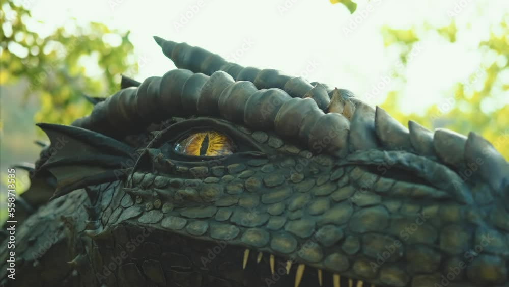 Fantasy portrait real dragon head close-up sharp teeth beautiful eyes ...