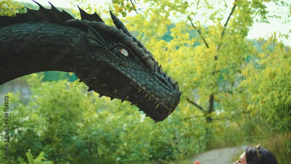 Fantasy portrait woman queen, hand touches muzzle of ancient dragon ...