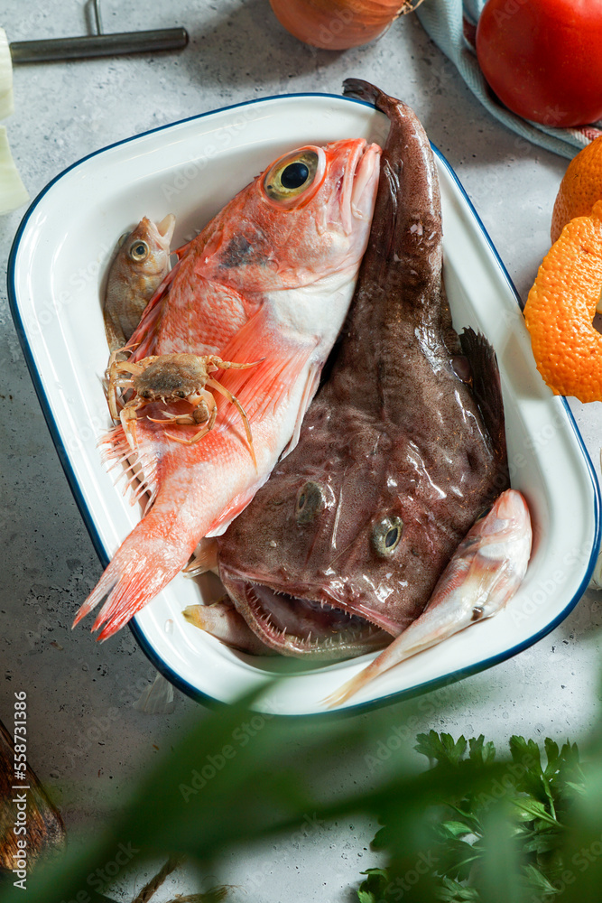 Devil Fish In France