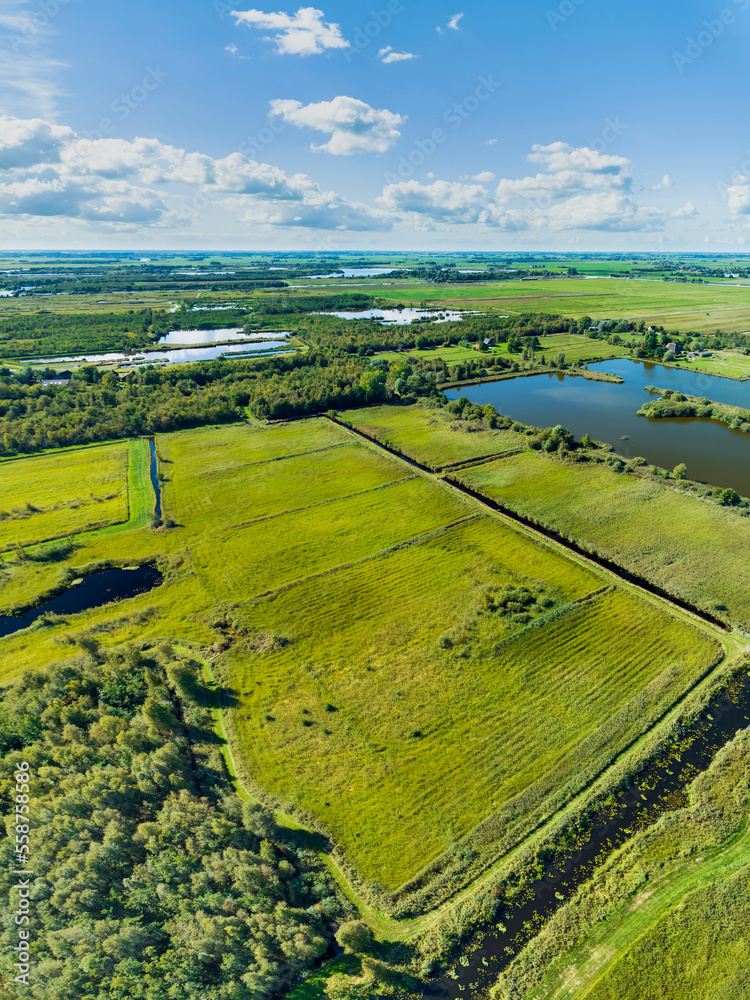 Aerial view of reedland, forest and lakes in national park De Alde ...