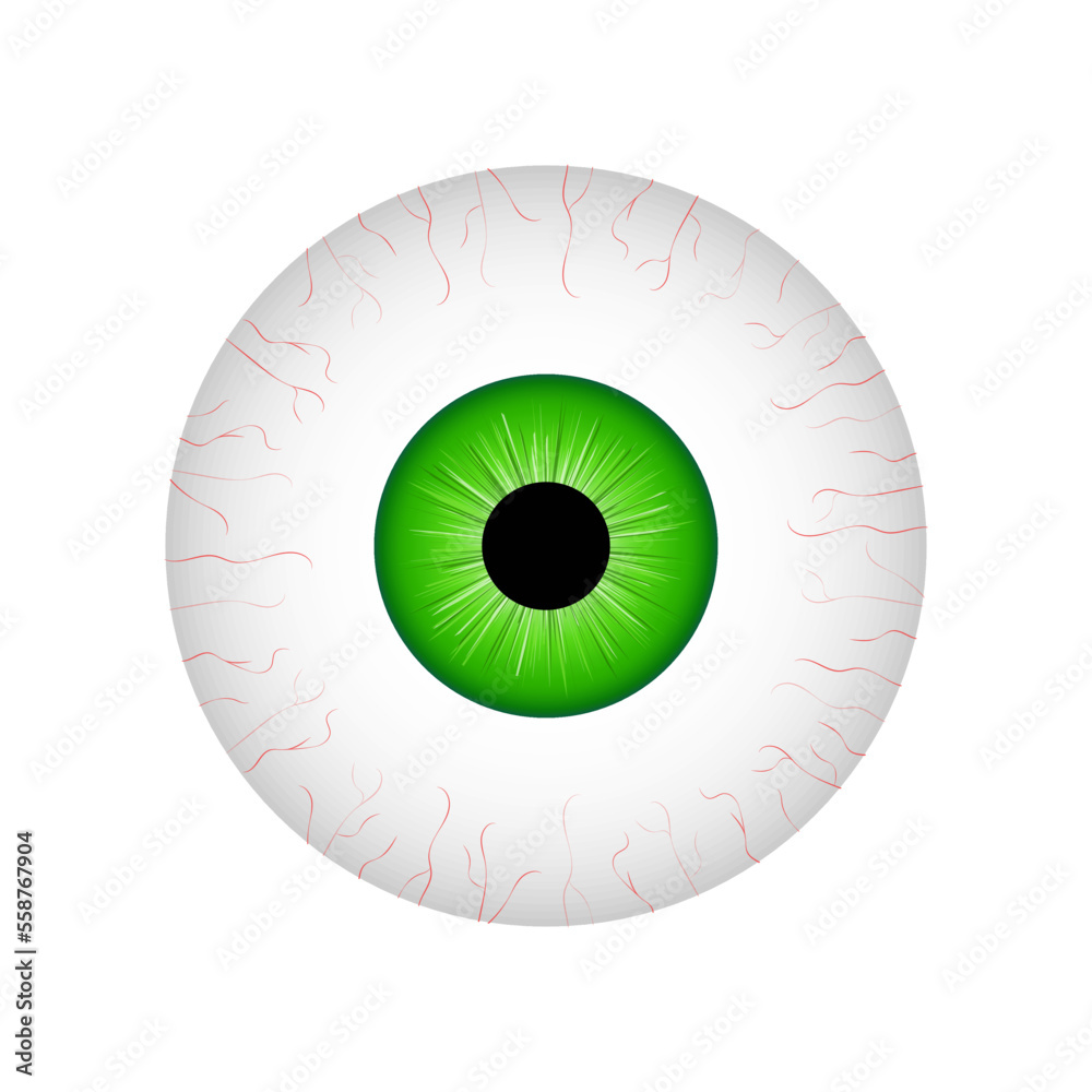 Realistic human eyeball. Vector illustration. Stock Vector | Adobe Stock