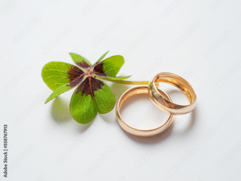 Wedding rings and a four leaf clover on a white background. Declaration ...