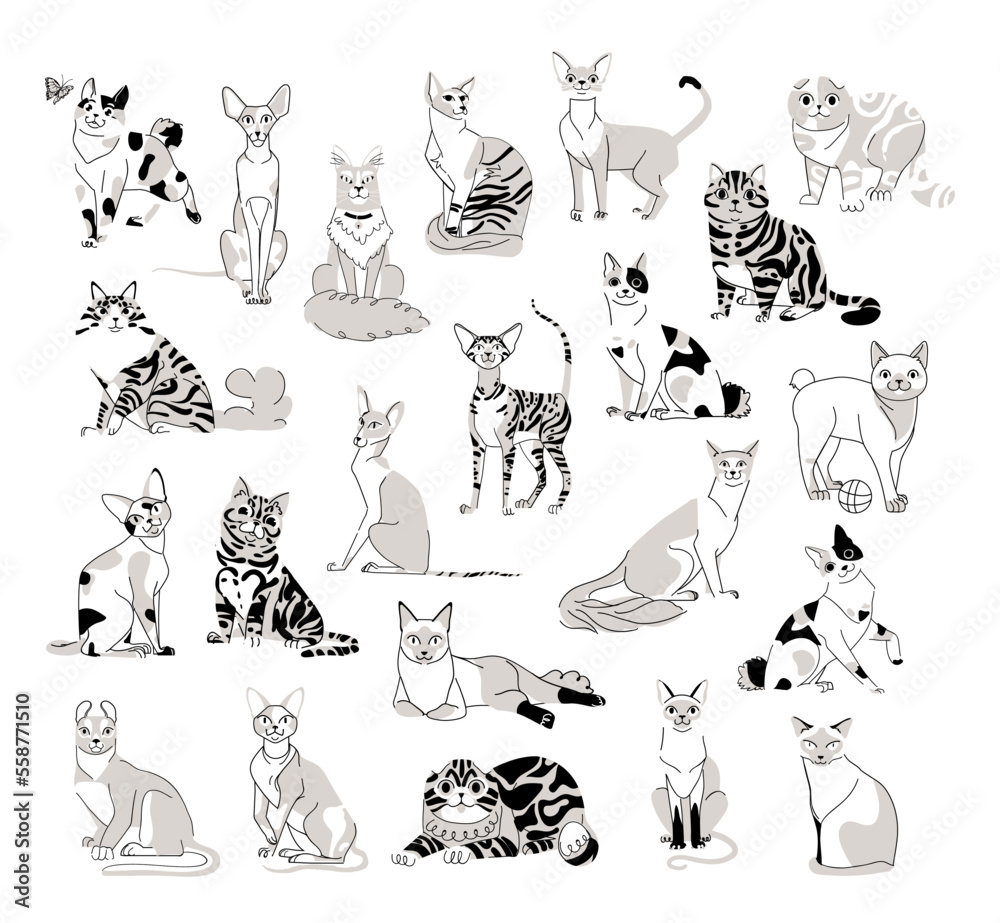 Cats breed outline vector set isolated on white background. Pet black ...