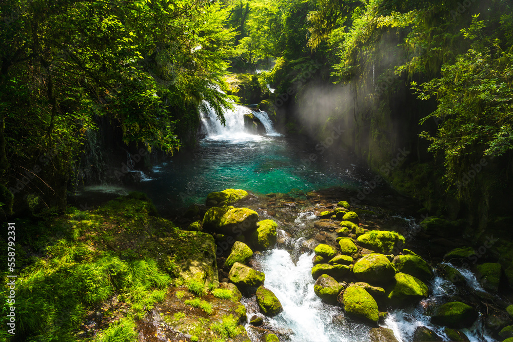 美しい夏の「水と緑にあふれた菊池渓谷」有名な観光名所 A famous sightseeing spot in the beautiful ...