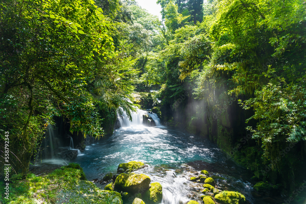 美しい夏の「水と緑にあふれた菊池渓谷」有名な観光名所 A famous sightseeing spot in the beautiful ...