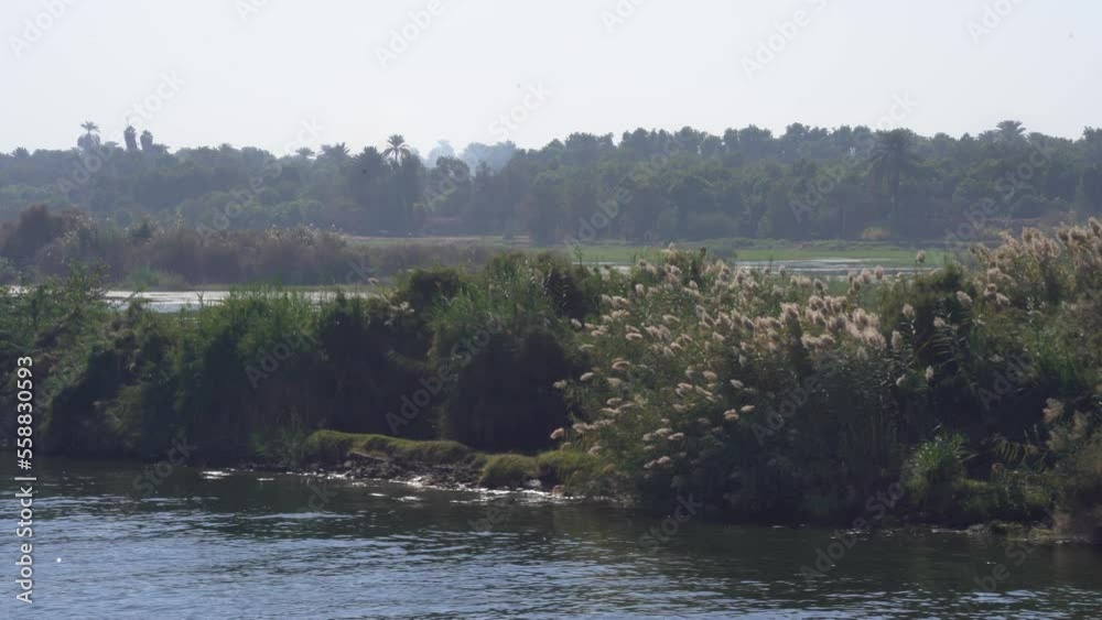 Beautiful Marsh Islands in th Middle of the Nile in Aswan, Egypt Stock ...