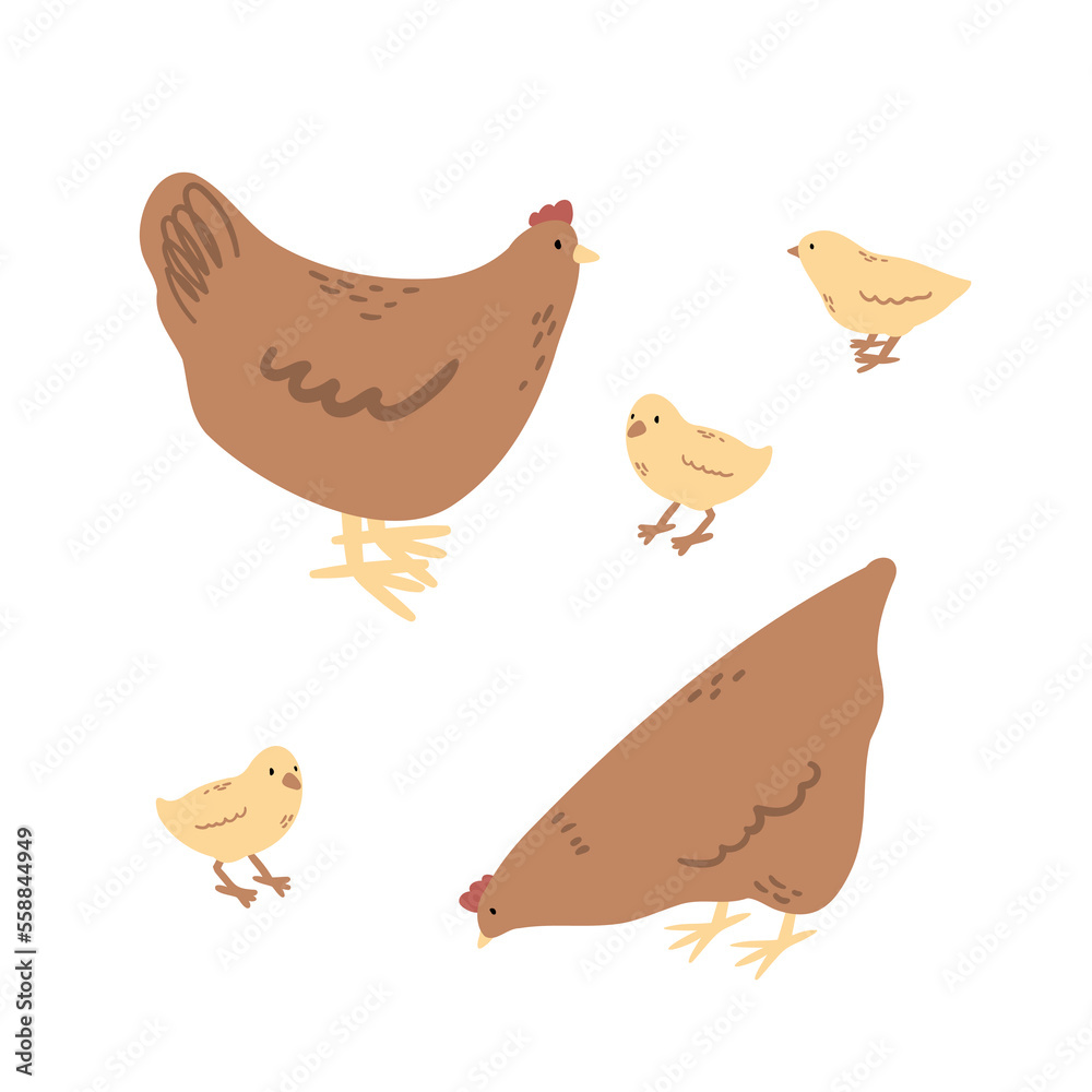 chicken illustrations, domestic animals clipart, farm life ...
