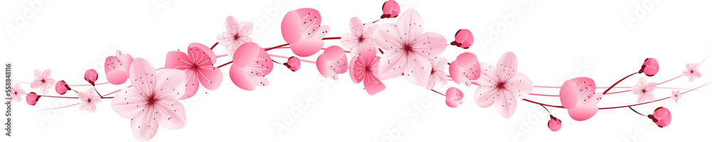 pink cherry blossom flower border Stock Illustration | Adobe Stock