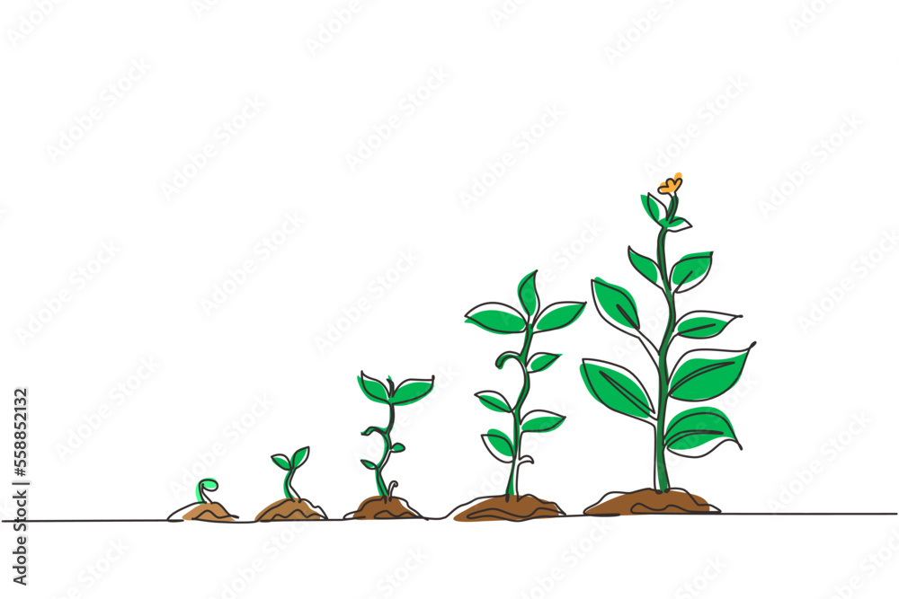 Continuous one line drawing infographic of planting tree. Seeds sprout ...