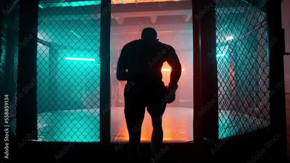 MMA fighters enter the cage ring. Mixed martial arts fight. Cinematic ...