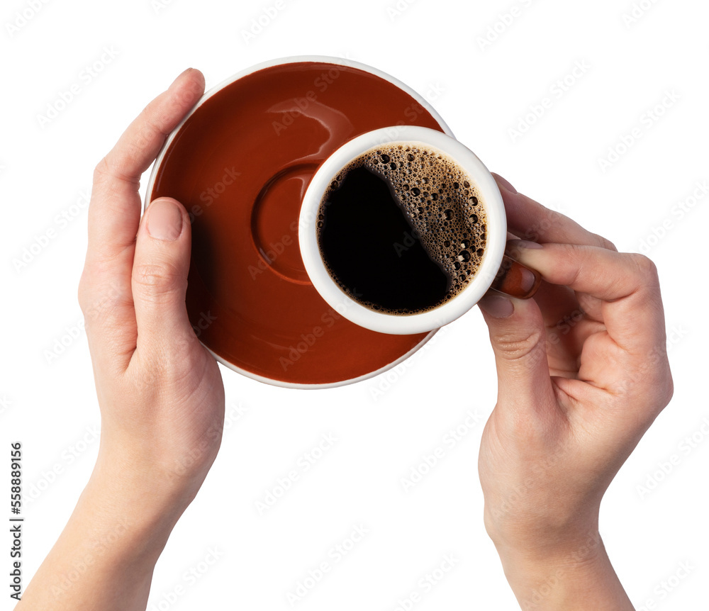 Woman's hand on transparent background. png file Stock Photo | Adobe Stock