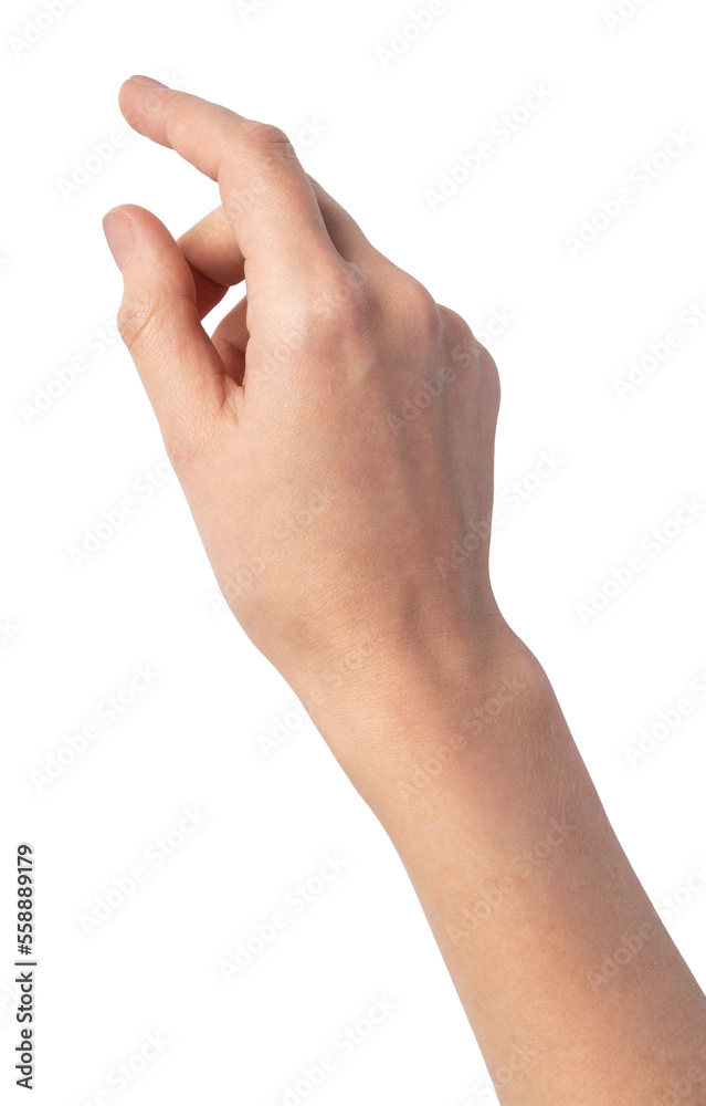 Woman's hand on transparent background. png file Stock Photo | Adobe Stock