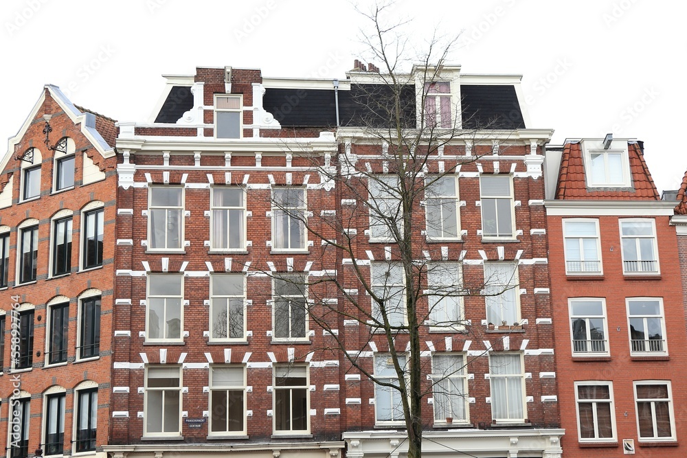 Amsterdam Brick Canal House Facades with Bare Tree, Netherlands Stock ...