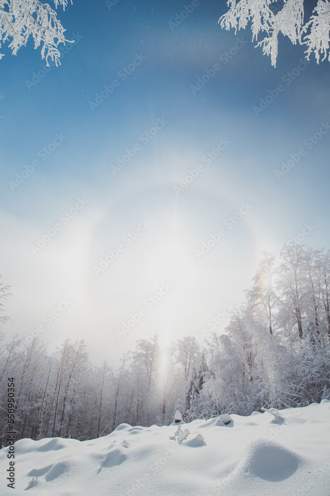 Rare natural phenomenon called the halo effect when the morning sun ...