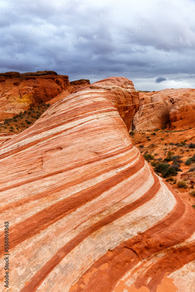 Red sandstone rock formation Fire Wave inside Valley of Fire State Park ...