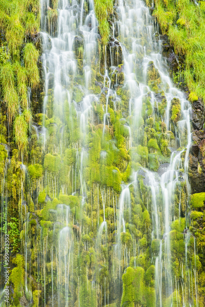 Mossbre Falls is a cascading spring that flows year round into the ...