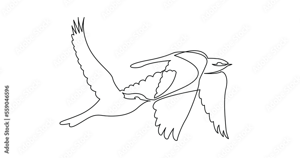 continuous line drawing of bird PNG image with transparent background ...