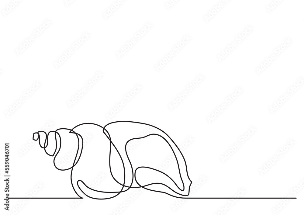 single line drawing of sea shell PNG image with transparent background ...