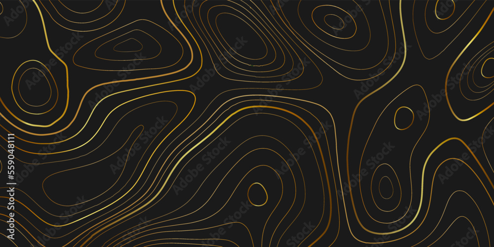 Topographic map lines background. Abstract vector illustration. Contour ...