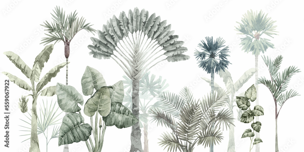 Beautiful stock clip art illustration with watercolor hand drawn ...