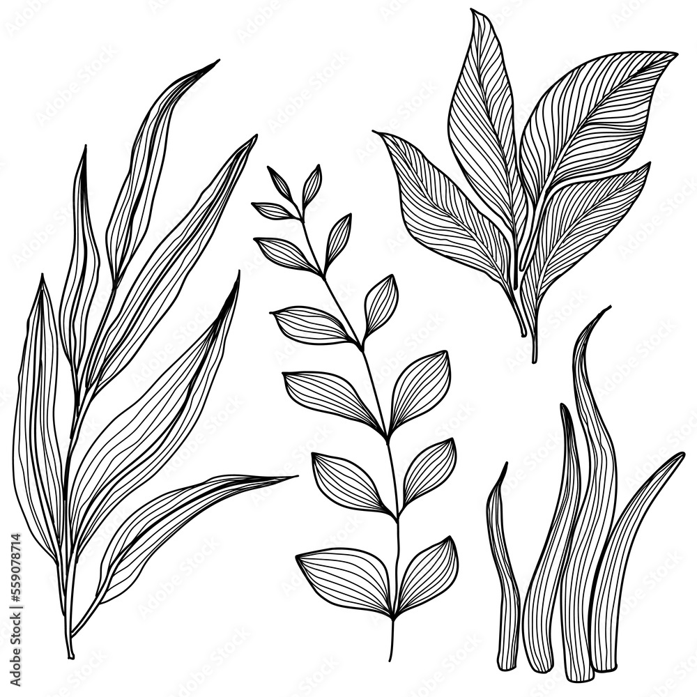 Set of hand drawn leaves isolated on white background. Leaf decorative ...