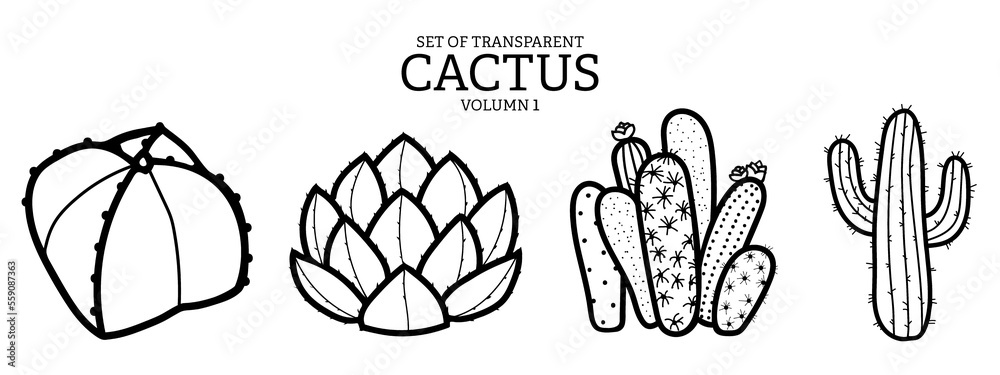 Cute hand drawn isolated black outline cactus on transparent background ...