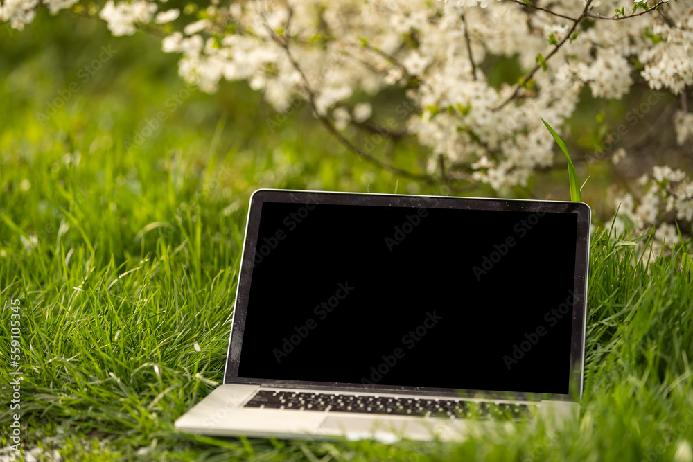 Working at home garden, laptop surrounded with green leafy potted ...