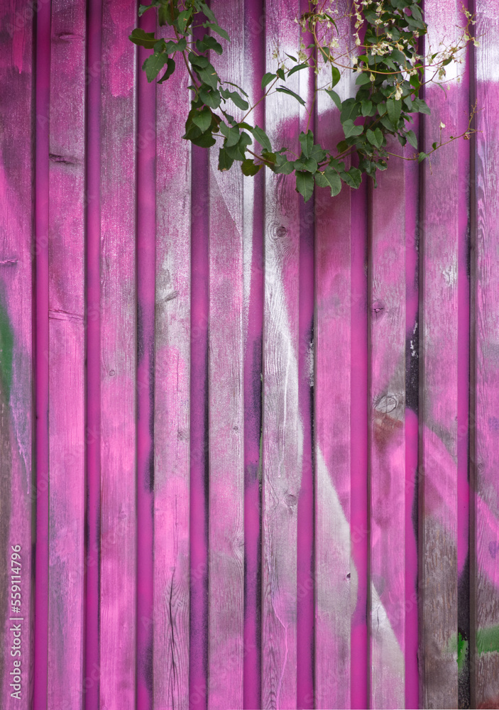 Wooden pink wall. Pink aesthetic background. Fuchsia pink wood, fence ...