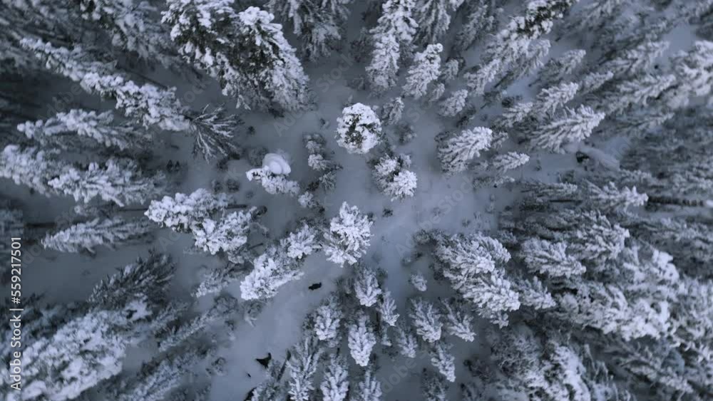 Top down view of the winter wonderland motion wallpaper background ...