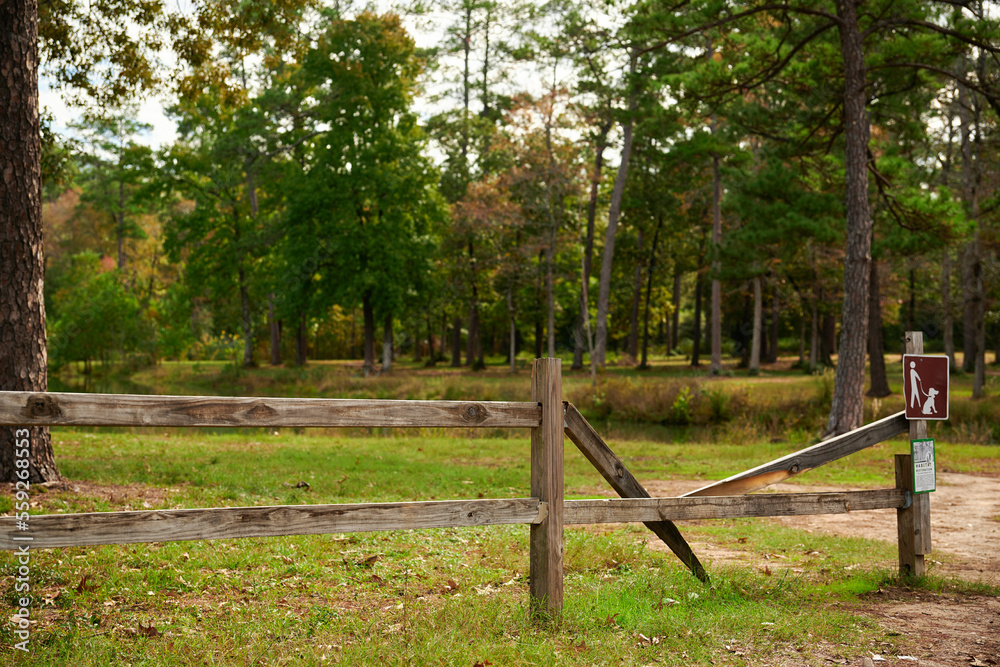 Foto de THE WOODLANDS, TEXAS - NOVEMBER 2022: William Goodrich Jones ...