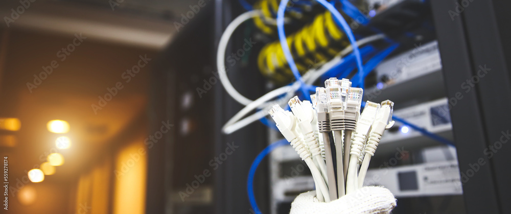 Hand choose RJ45 UTP Cat6 LAN internet network cable fiber optic and ...