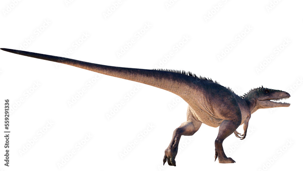 Carcharodontosaurus dinosaur isolated on blank background PNG ultra ...