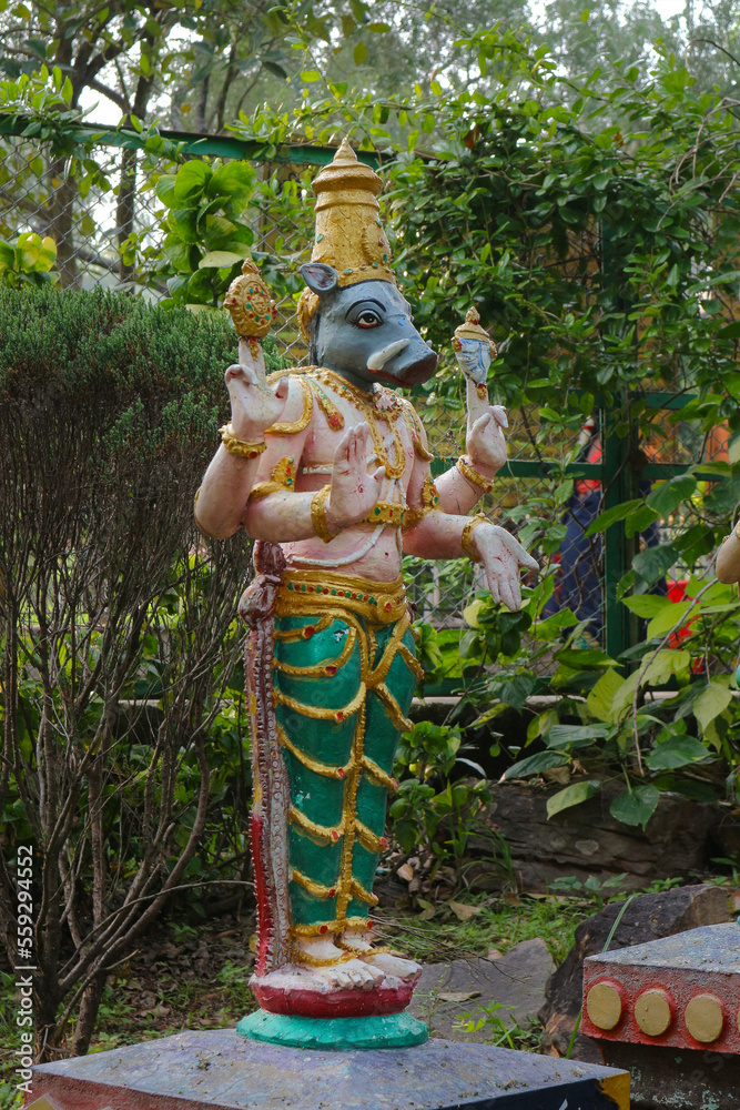 Lord Varaha, Boar, an avatar of Vishnu. Stock Photo | Adobe Stock