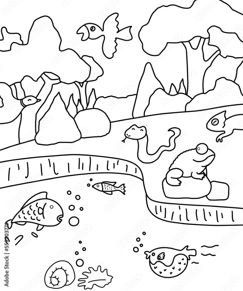 Animal in the Woods, forest, wild animal, creatures coloring pages for ...